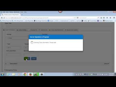 Florida Courts E-Filing Portal - Existing Case - Case Information