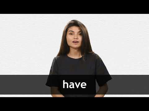 Have Definition And Meaning Collins English Dictionary
