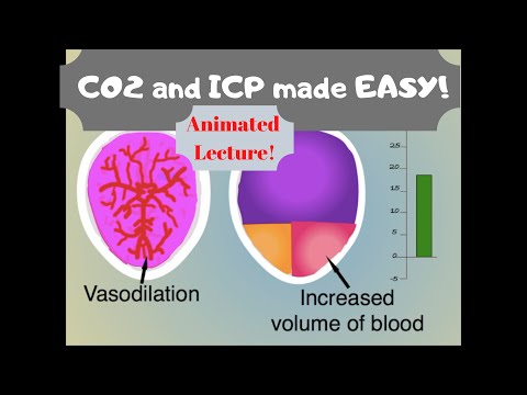 What is CO2 in a comprehensive metabolic panel?