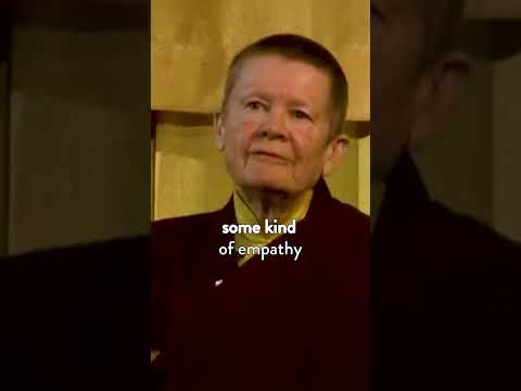 An excerpt from Pema Chödrön from the Tricycle archives