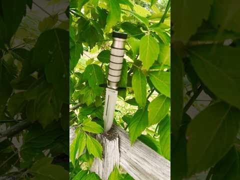 Wicked MTech Survival Fixed Blade Knife! #cutlery #edc #blade #edcknife #fixedblade #survival