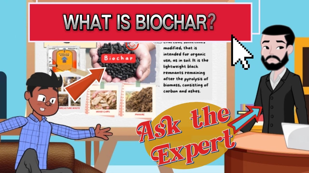 Ask the Expert_ What is Biochar?