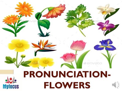 Pronunciation- Names of flowers