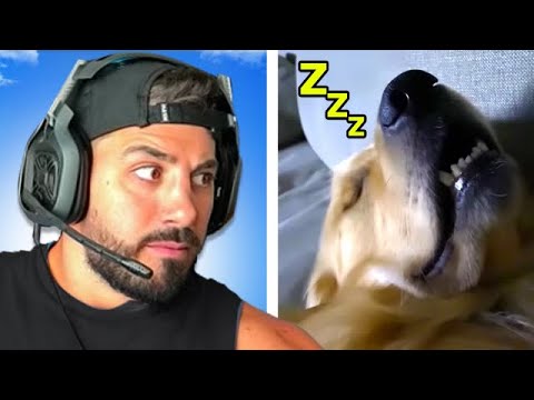 My puppy was snoring like an old man 🤣