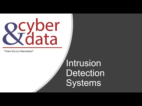 Cyber&Data: Intrusion Detection Systems