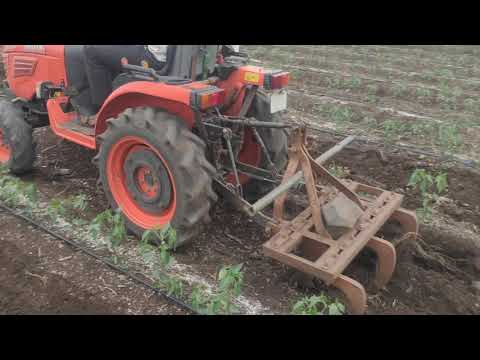 Kubota b 2420 use in chilli by Farmar || Hosla Kisan ka