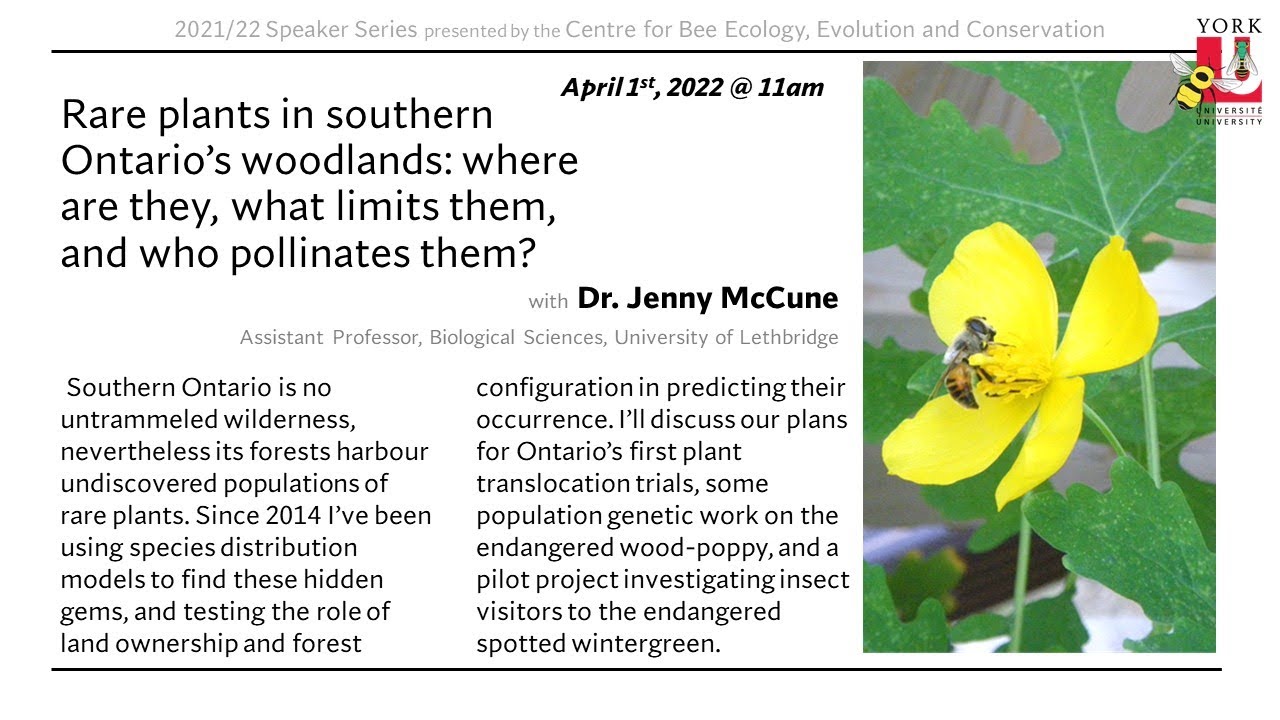 Rare Plants in Southern Ontario's Woodlands: Where Are They, What Limits Them & Who Pollinates Them?