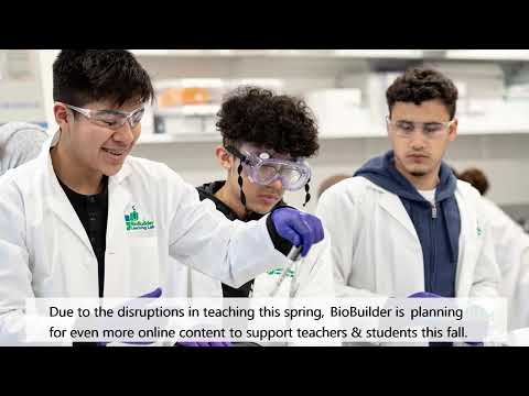 Learn Synthetic Biology & Biological Engineering with BioBuilder's STEM Education Programs