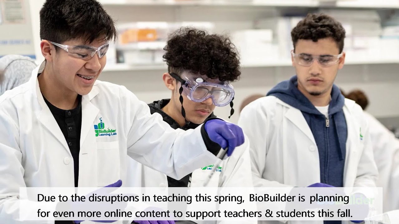 Learn Synthetic Biology & Biological Engineering with BioBuilder's STEM Education Programs