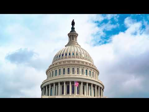 Congress, Now More Than Ever, We Need Your Cowardice