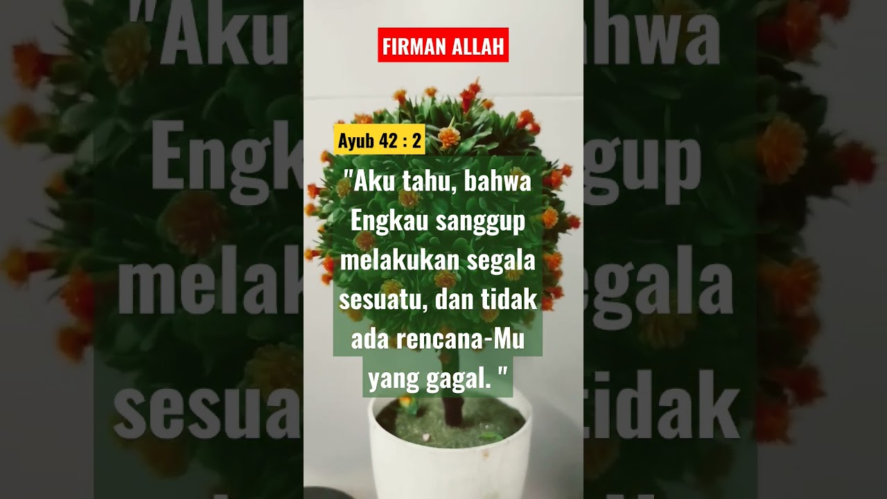 FIRMAN TUHAN TIDAK ADA RENCANA-MU YANG GAGAL #alkitab  #firmantuhan #renungan #motivation #shorts