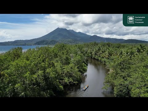 Dewacoco - Desiccated Coconut Manufacturing Processes