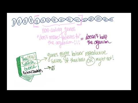 Selfish Gene Theory and Selfish Genetic Elements