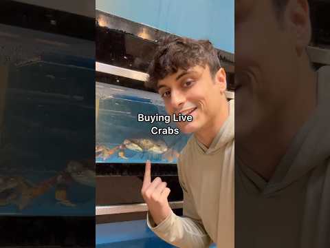 Buying MASSIVE Dungeness Crabs