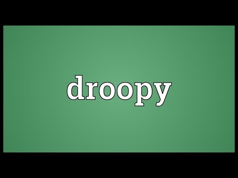 Droopy Meaning