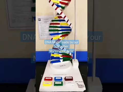 #DNA #model | working model of dna #scienceproject