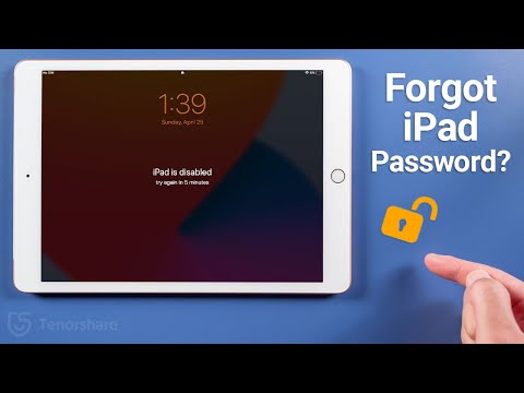 Forgot Your iPad Password? 3 Ways to Unlock Without Losing Data! [2024]
