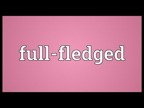 Full-fledged Meaning