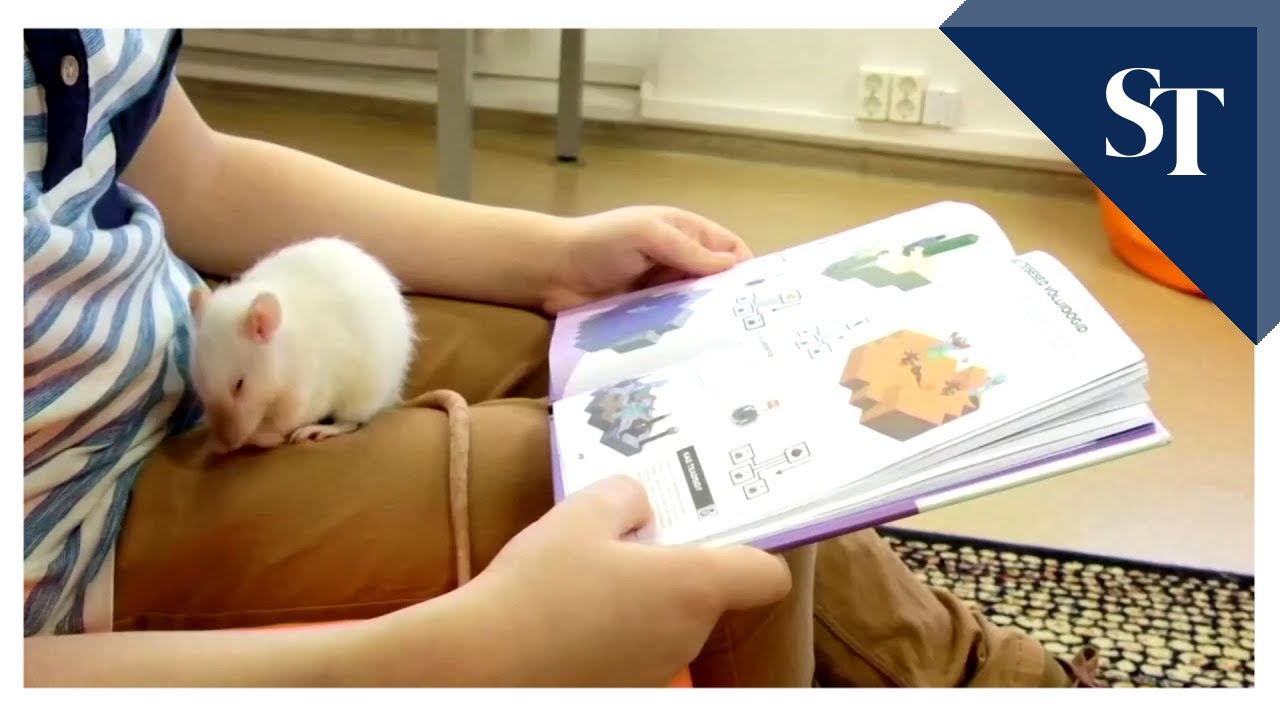 Autistic Kids Find Unusual Reading Partners In Rats And Dogs - book ...