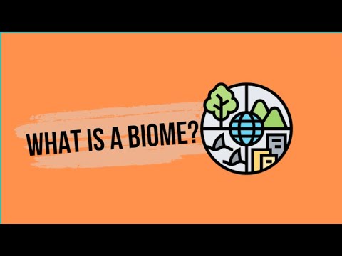 What is a biome? | What is a biome for kids?