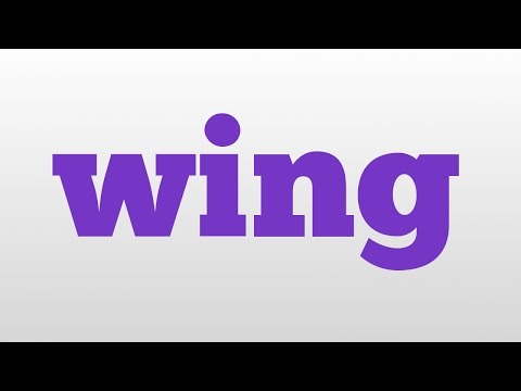 wing meaning and pronunciation