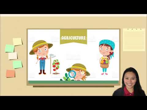 EPP: Introduction and Key Concepts