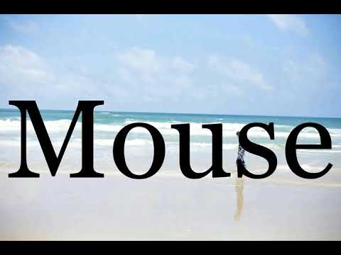 How To Pronounce Mouse🌈🌈🌈🌈🌈🌈Pronunciation Of Mouse