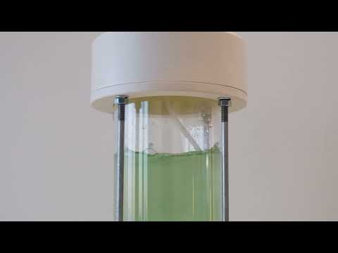Designing an Algal Relay Computer: A Critical Orientation in Exploring More-than-Human Temporality