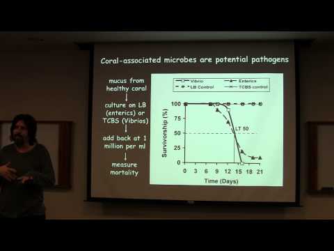 Forest Rohwer Crawling Holobionts Part 2 of 8