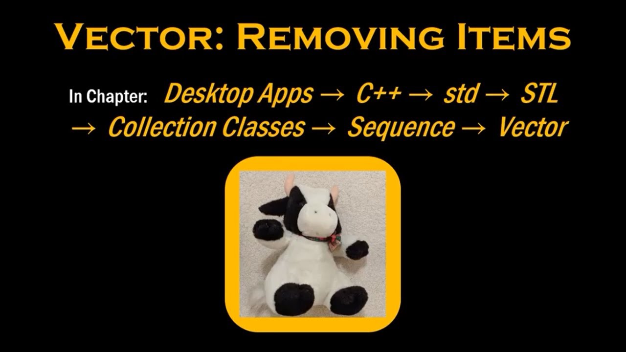 C++'s Vector: Removing Items