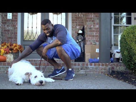Man's Best Friend: Delanie Walker & Lord Cushman | NFL Fan Pass
