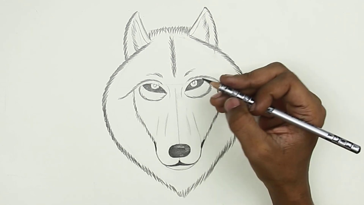 Draw tribal wolf  head step by step for beginners Done