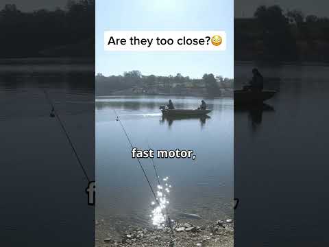 I tried to talk with them🤷🏻♂️#trout #fishing