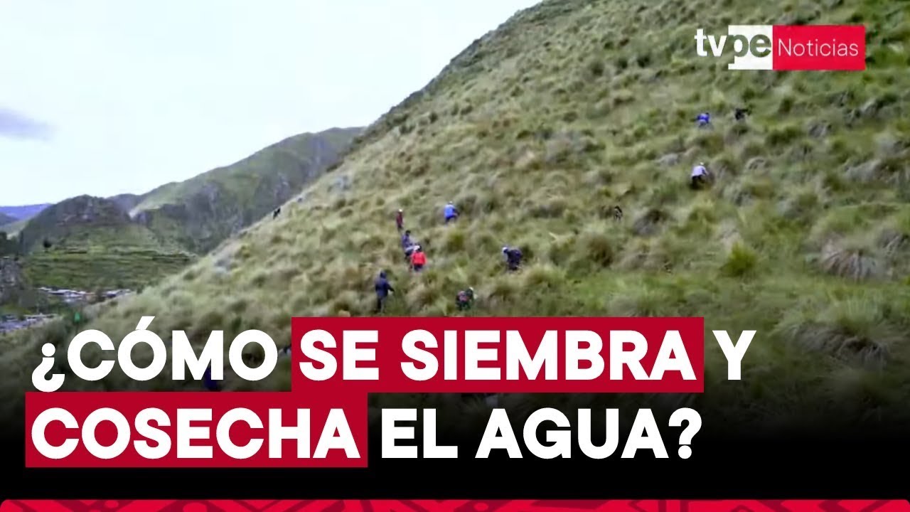 Sowing and harvesting water, an ancient technique for the conservation of this valuable resource