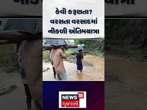 Vapi News : કેવી કરુણતા ? વરસતા વરસાદમાં નીકળી અંતિમયાત્રા | Gujarati Samachar | N18S #shorts