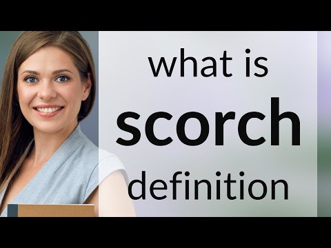 Scorch • what is SCORCH definition
