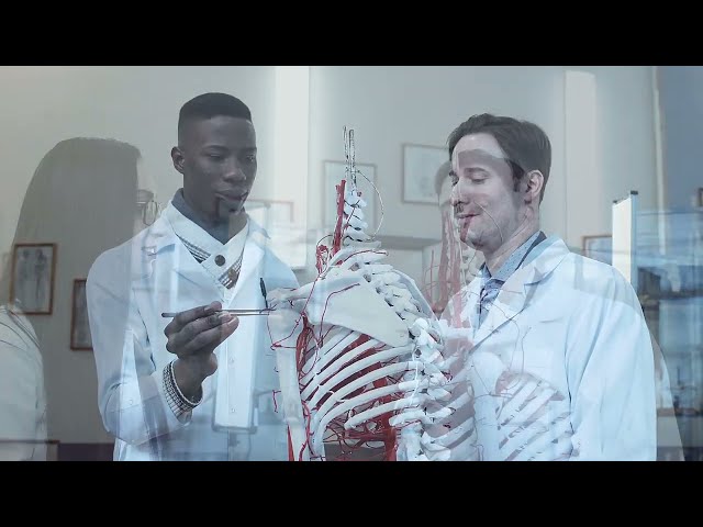 Essential Laboratory Safety Guidelines for Anatomy and Physiology ...