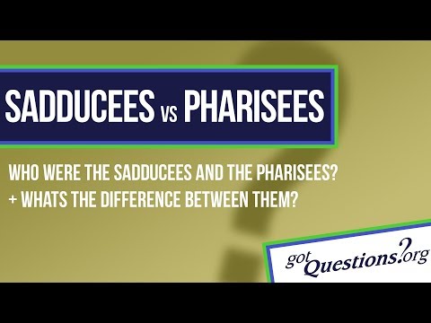 Who were the Sadducees and the Pharisees?