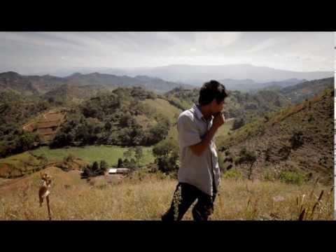 A Life Without Words - PREVIEW