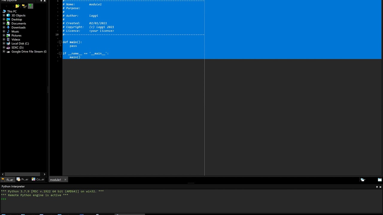 GEG4301 Pyscripter setup