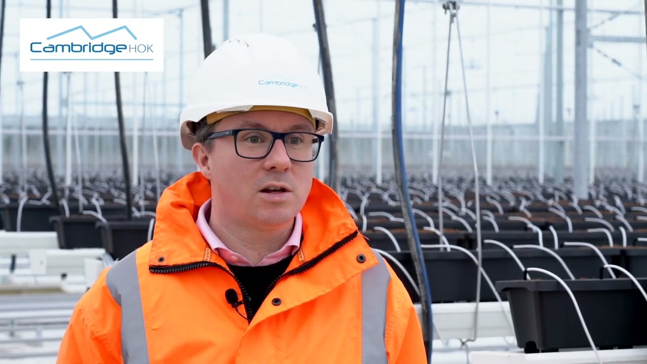 The advantages of a swinging gutter system in a strawberry-growing glasshouse