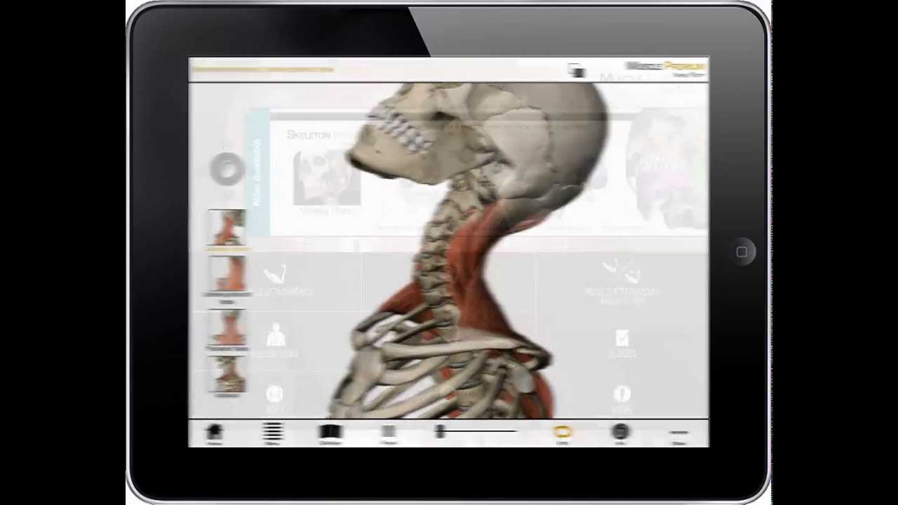 Muscle Premium  - iPad tutorial