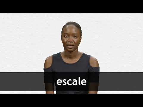 English Translation of “ESCALE” | Collins French-English Dictionary