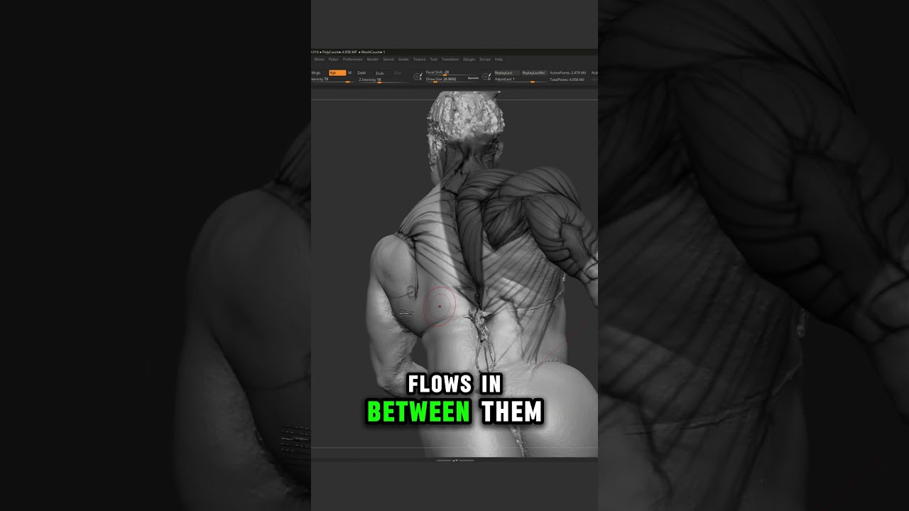 Anatomy class is launching again on Wednesday!  #zbrush #anatomy