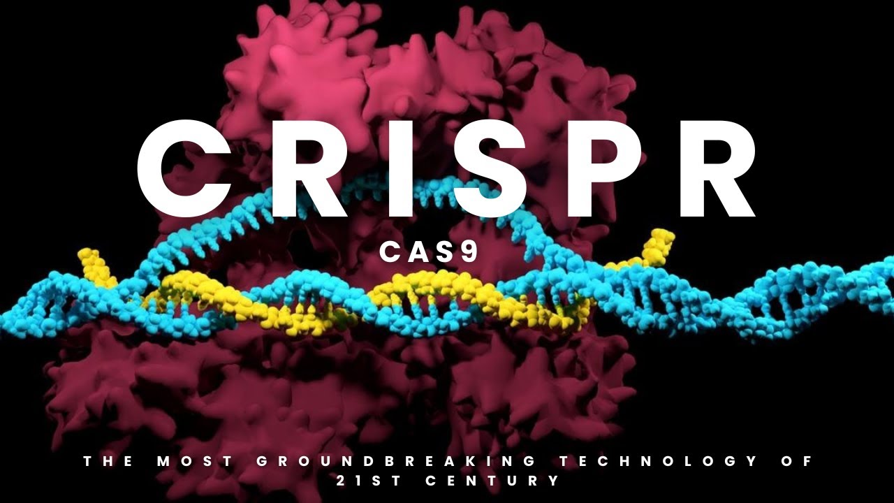 CRISPR Explained: The Gene Editing Revolution