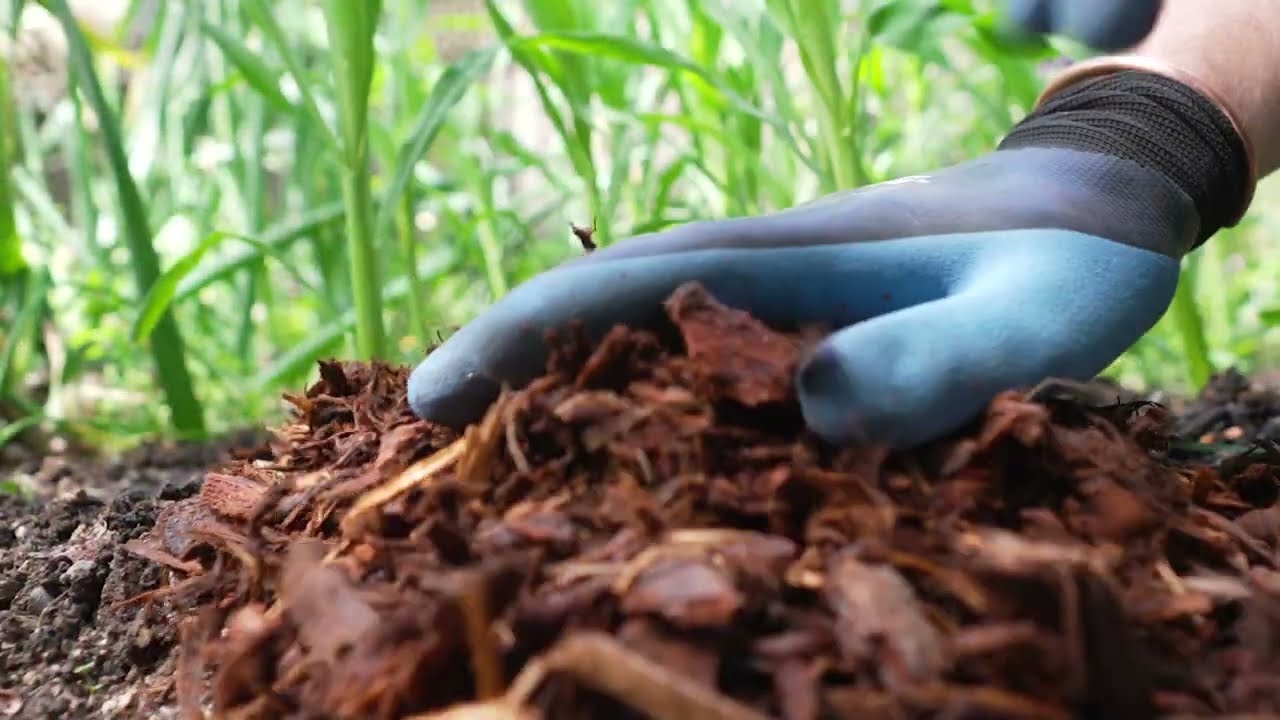 Richgro Natural Pinebark Mulch