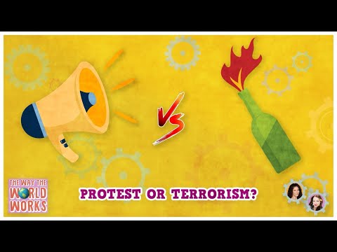 595. What Is The Difference Between a Peaceful Protest and Domestic Terrorism?