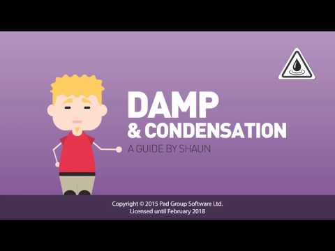 Damp and condensation in your home