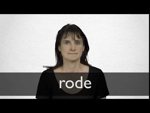 RODE definition and meaning | Collins English Dictionary