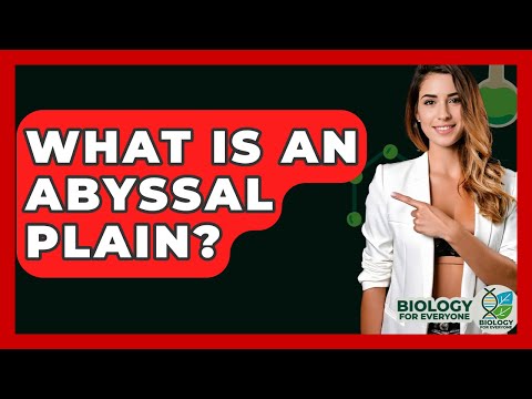 What Is An Abyssal Plain? - Biology For Everyone